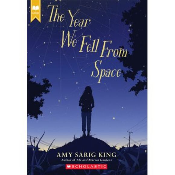 Amy Sarig King | Other | The Year We Fell From Space Scholastic Gold ...